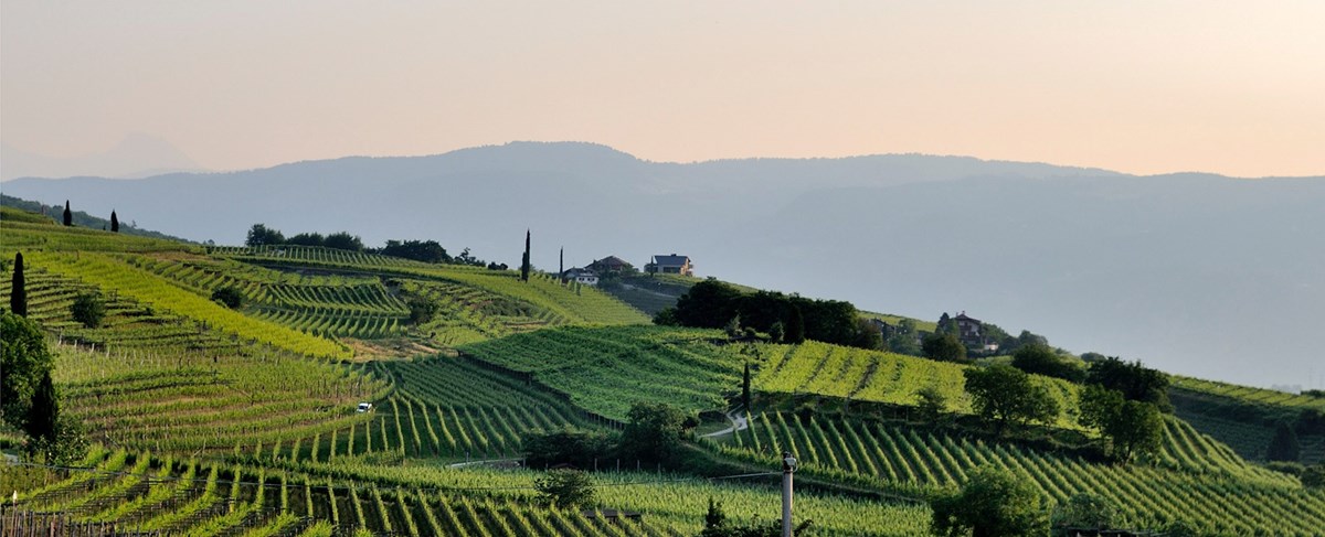 Berntson Brands - Bar & Restaurang - Berntson Brands